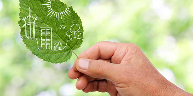 How Sustainability Consulting Can Increase Business Efficiency